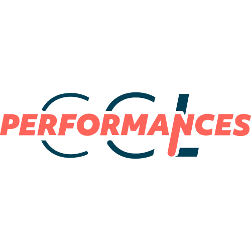 Coaching, bilan de compétences, formation à Lyon et Vienne (38)